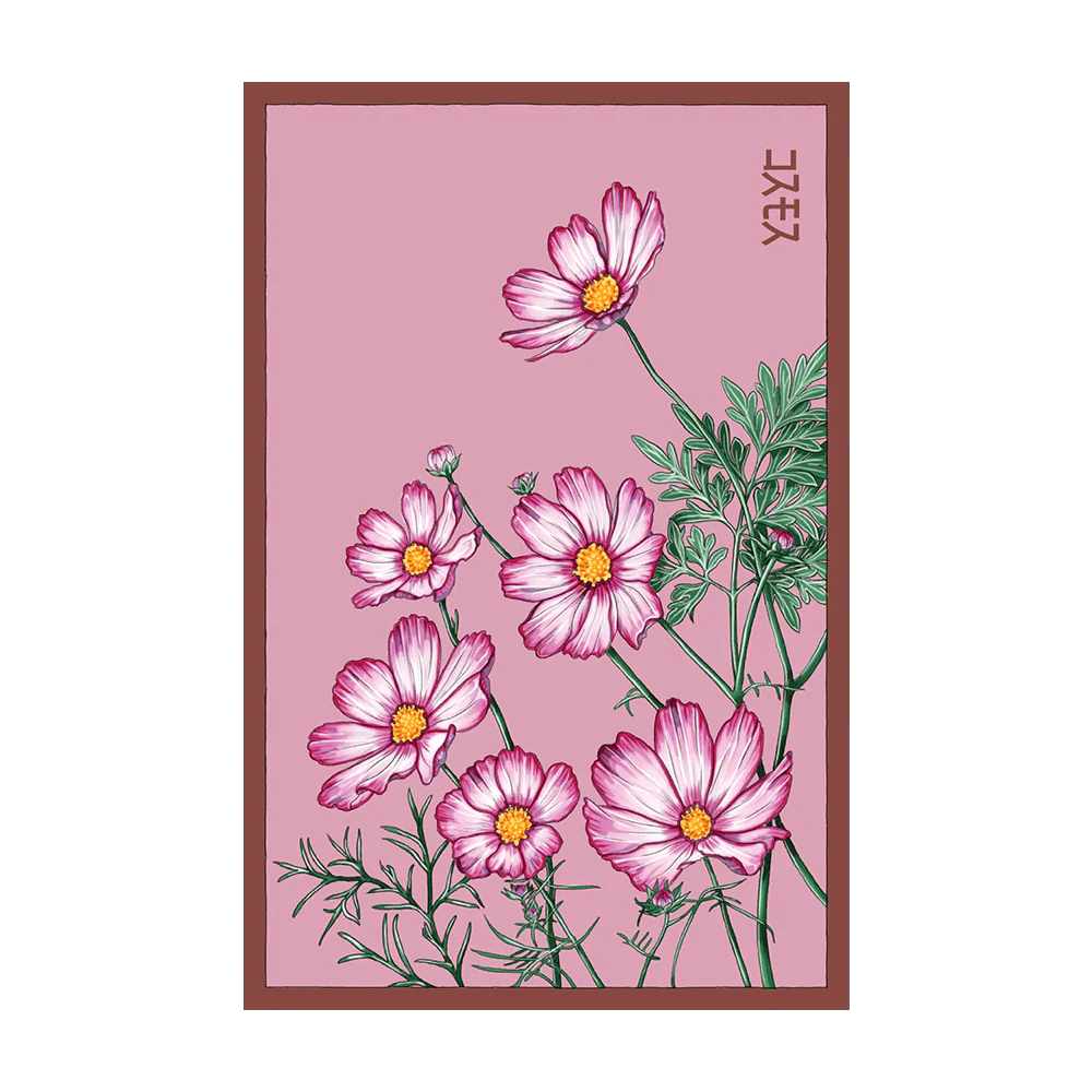 Cosmos Flower Seed Packet – Indio Durham